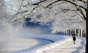 ‘Where’s my Swedish winter wonderland?