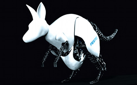 VIDEO: Bionic kangaroo hops like the real thing