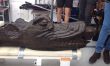 Danish 'monster' pulled out of Swedish waters - The Local