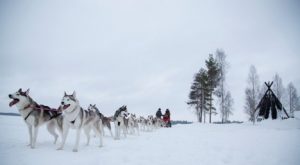 Luleå: 8 winter must-dos in Sweden’s far north
