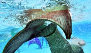 Germany holds first national ‘mermaiding’ championship