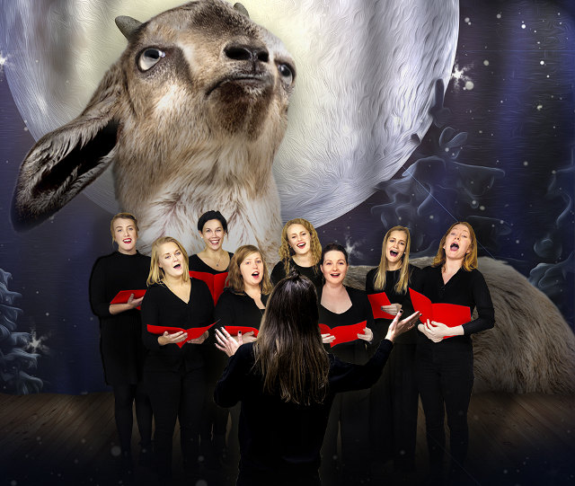 Video: This Swedish choir sang an entire Christmas concert in the style ...