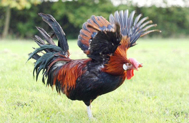 Ten things I’ve learned about the French (after 25 years in France)