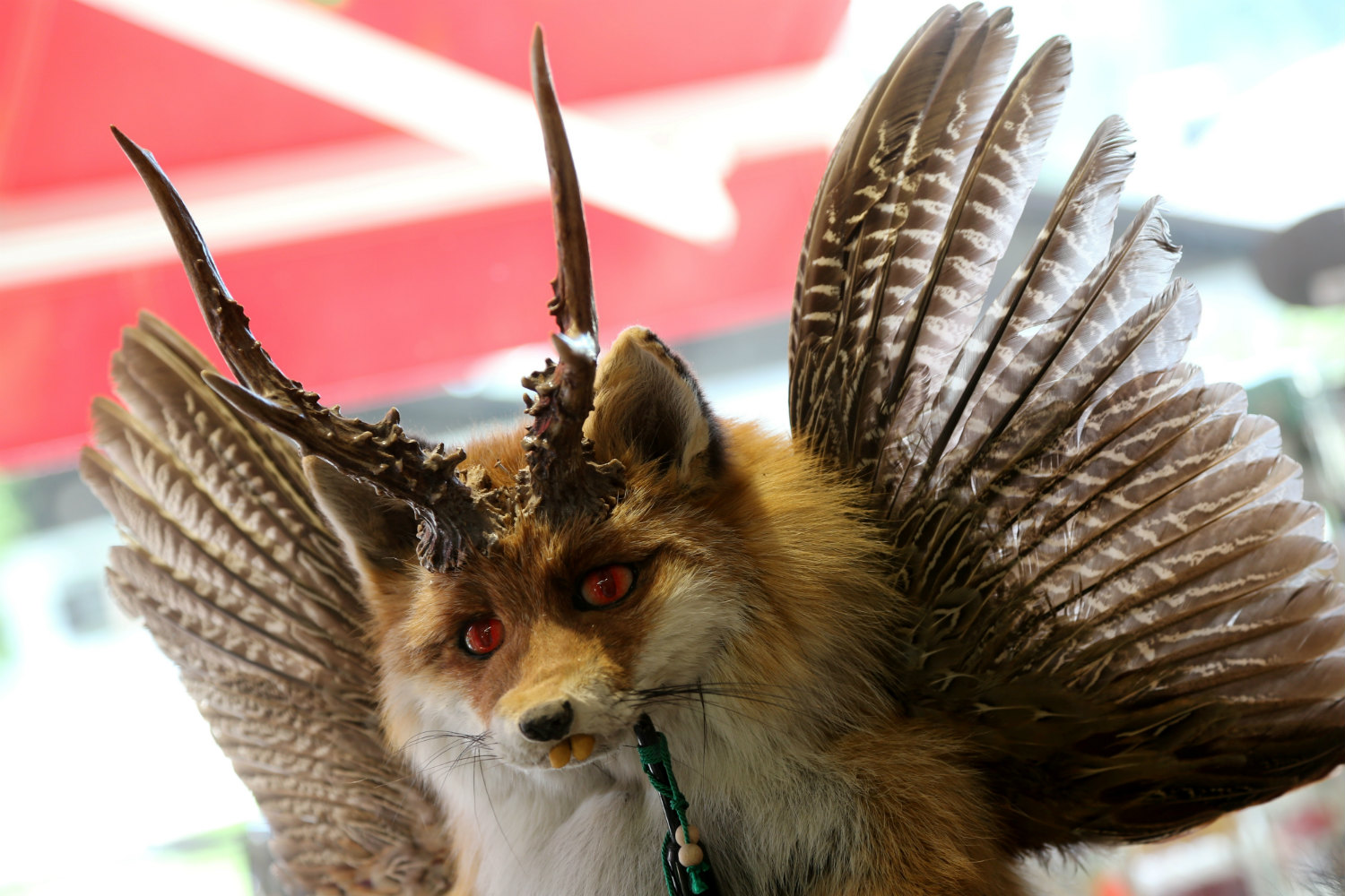 Beware the Wolpertinger – Bavaria’s legendary hybrid creature