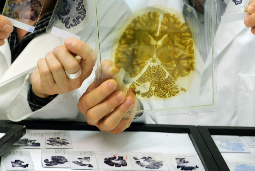 German universities among world’s best for science subjects, study finds