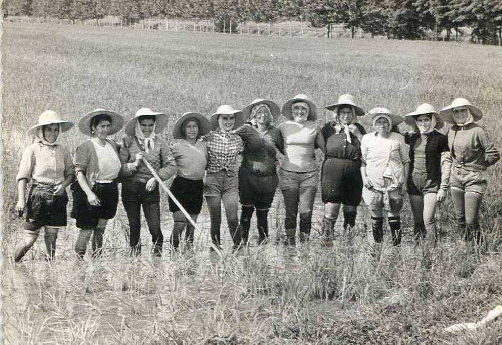 How women weeding Italy’s rice fields took on fascism and became ...
