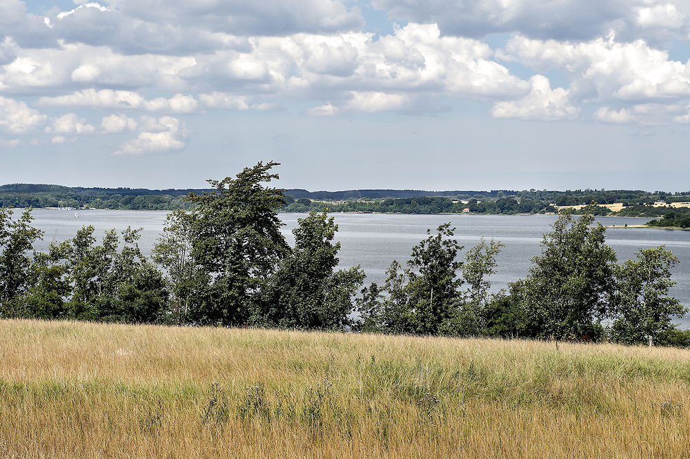 Denmark set for wet weather during changeable weekend