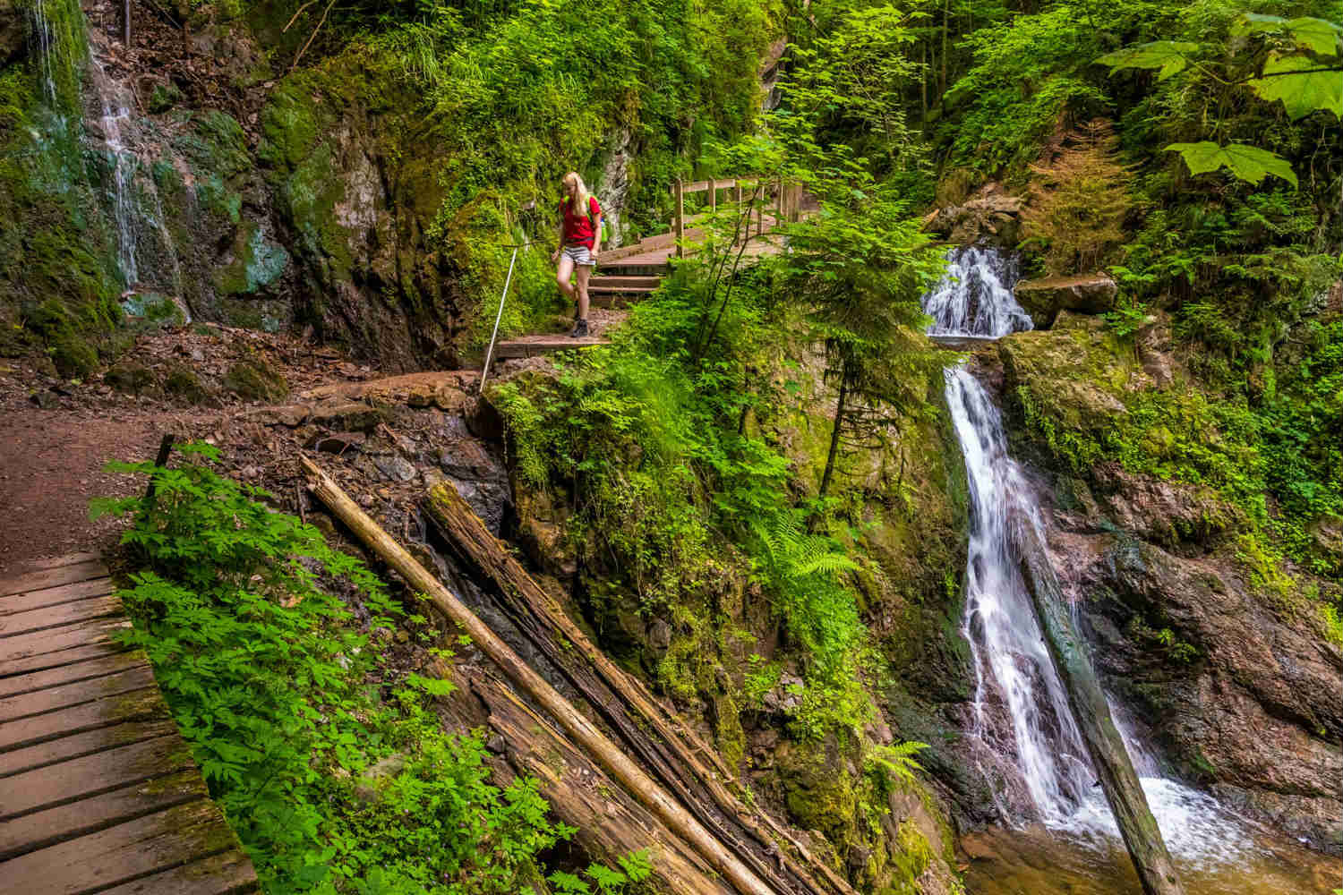 Wandervogel: How to get back to nature and embrace the wilderness like ...