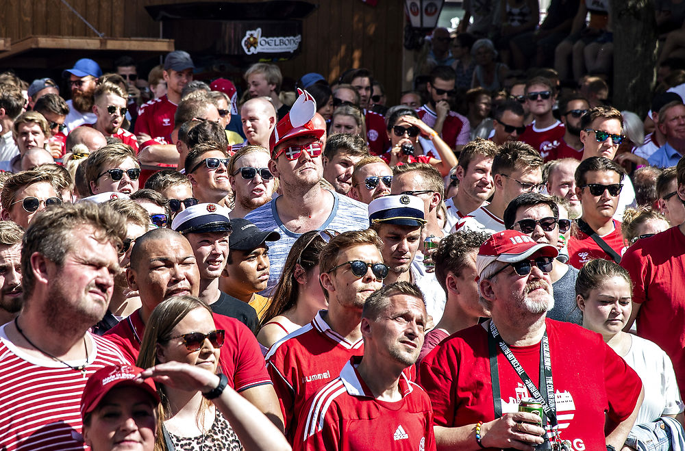 Here’s what the ‘average’ Dane looks like