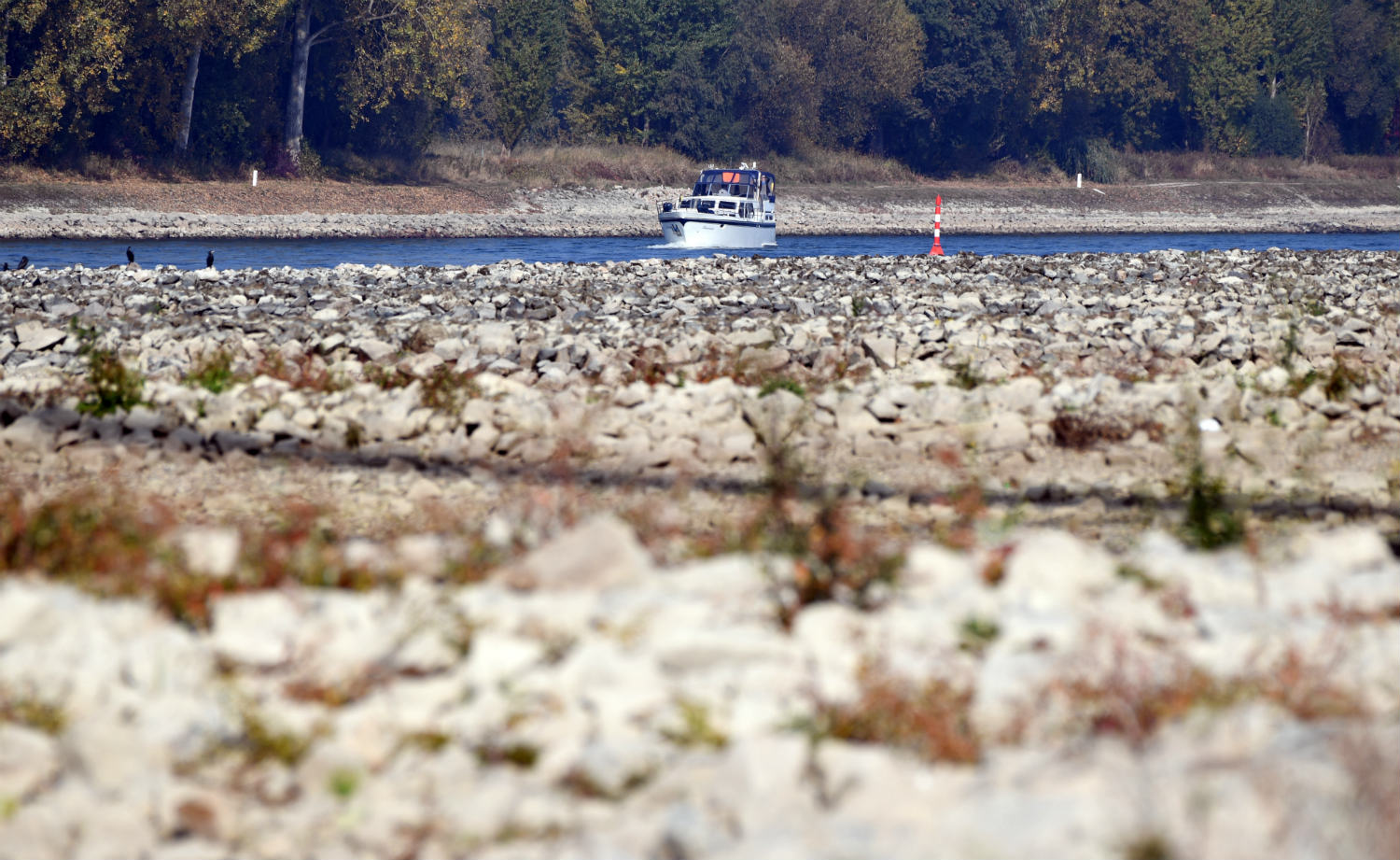 Water woes as drought leaves Germany’s Rhine shallow