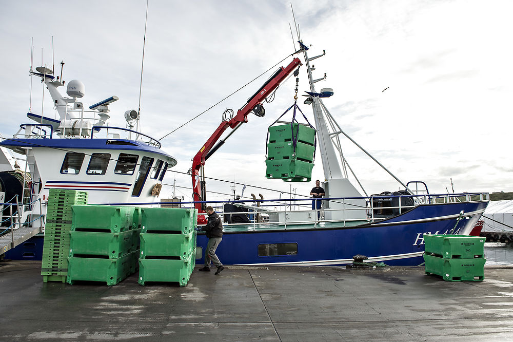 Denmark to continue herring fishing after warnings over dwindling ...
