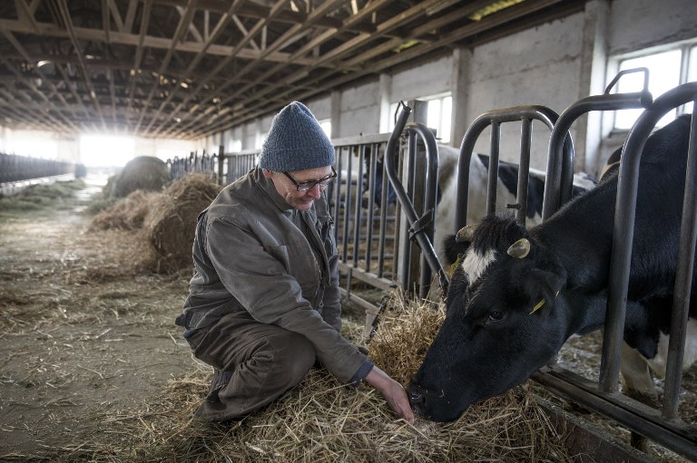 German farmers sue government over missed climate targets