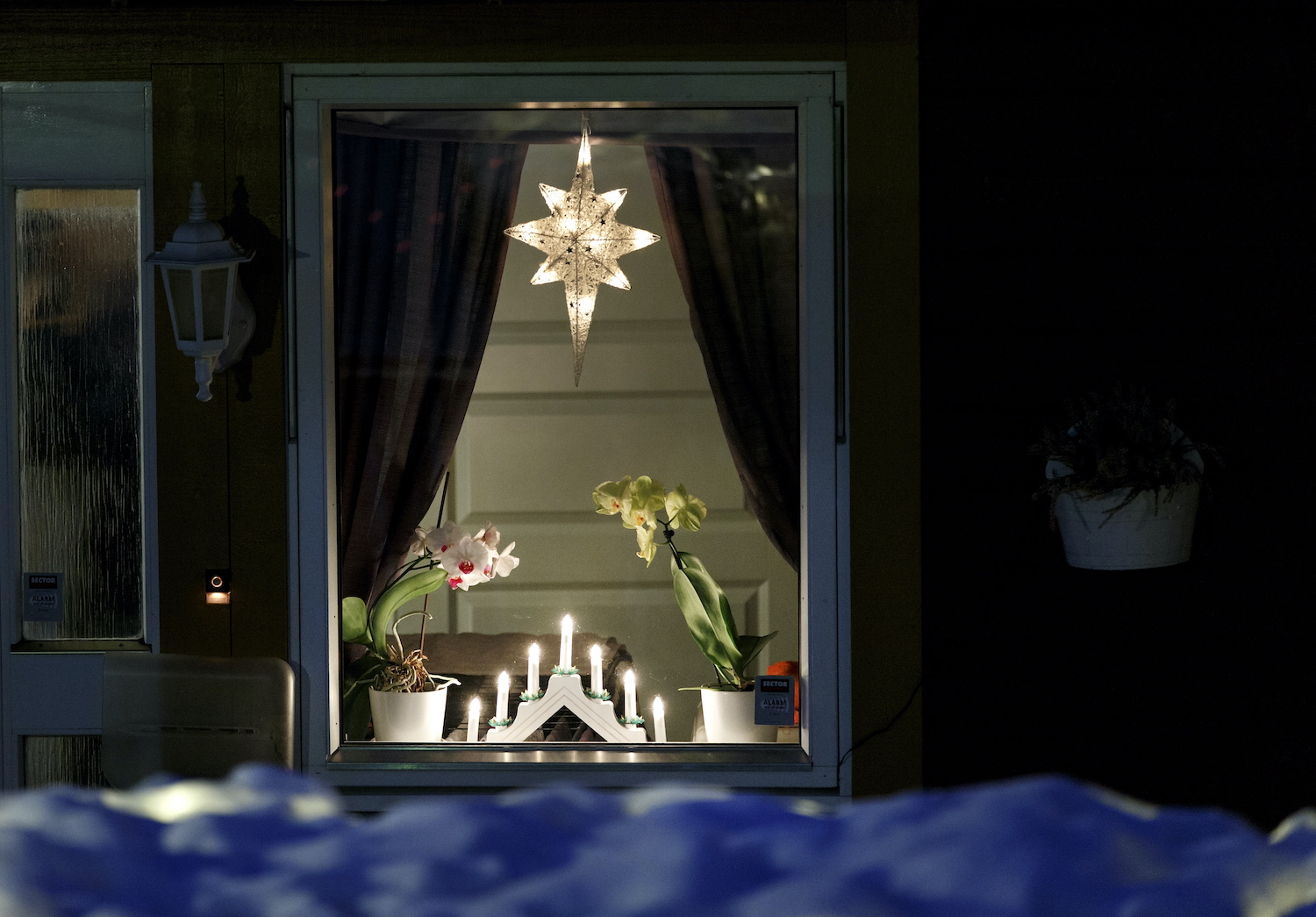 Advent Calendar 2022: How Sweden adopted a German Christmas tradition