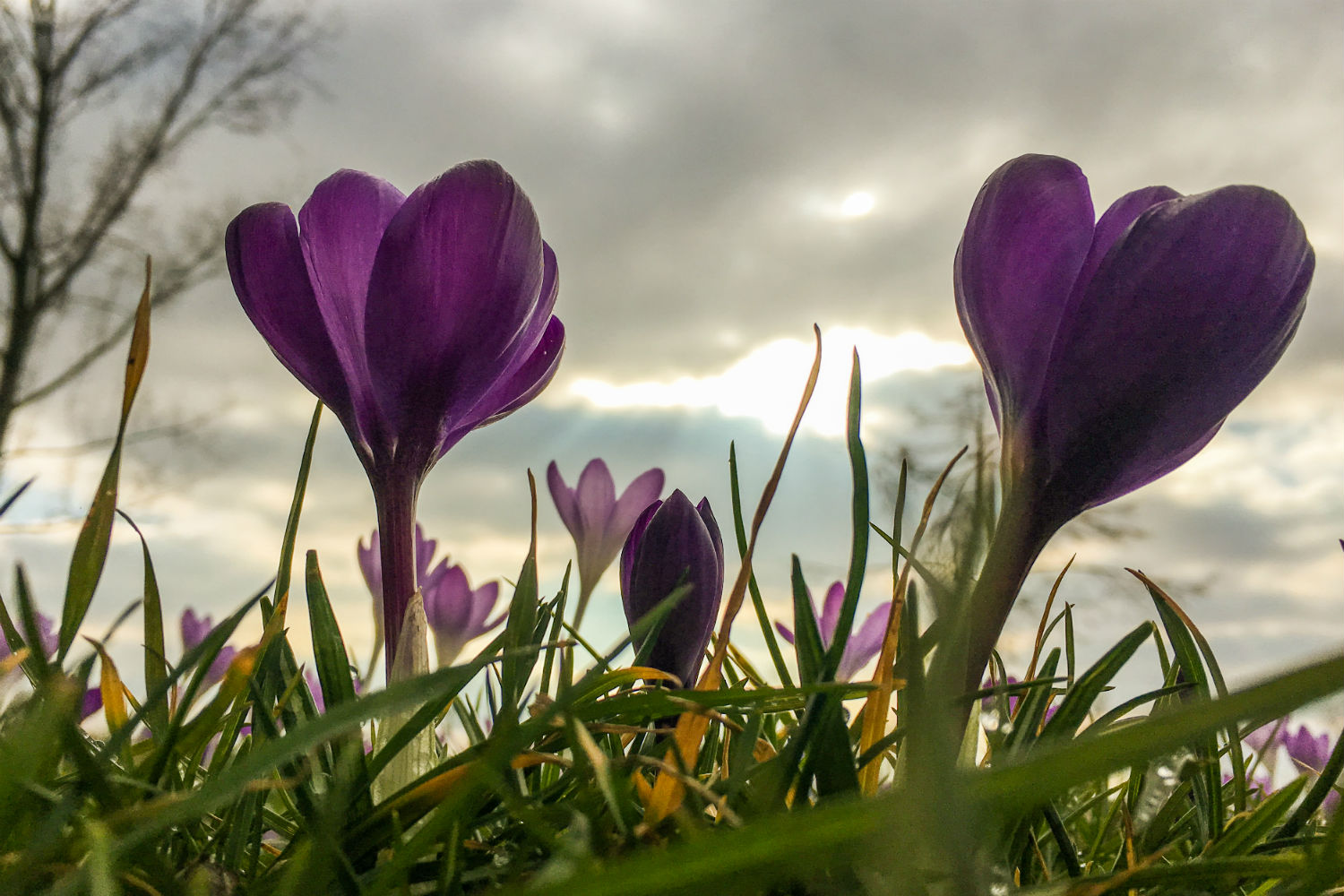 ‘Early spring’ to continue in Germany over weekend
