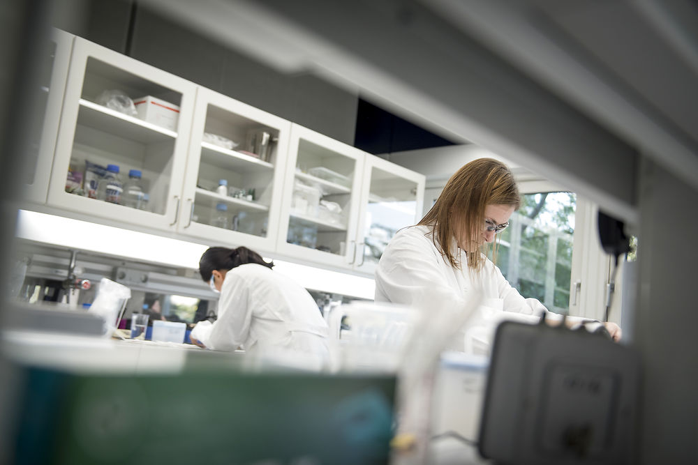 Danish companies invent like never before