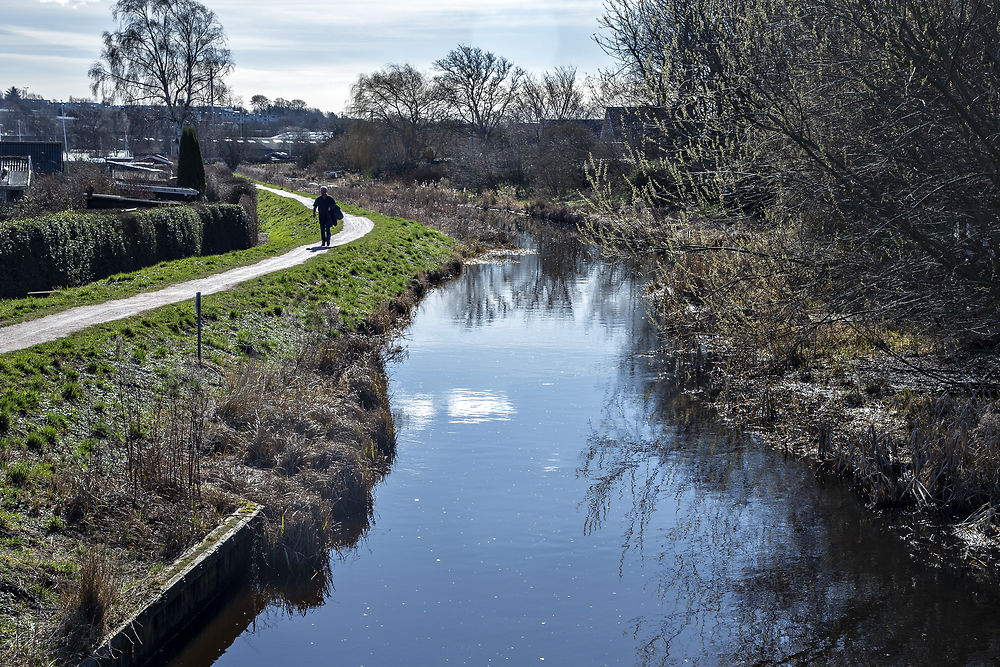 Spring in the air: this week’s Danish weather