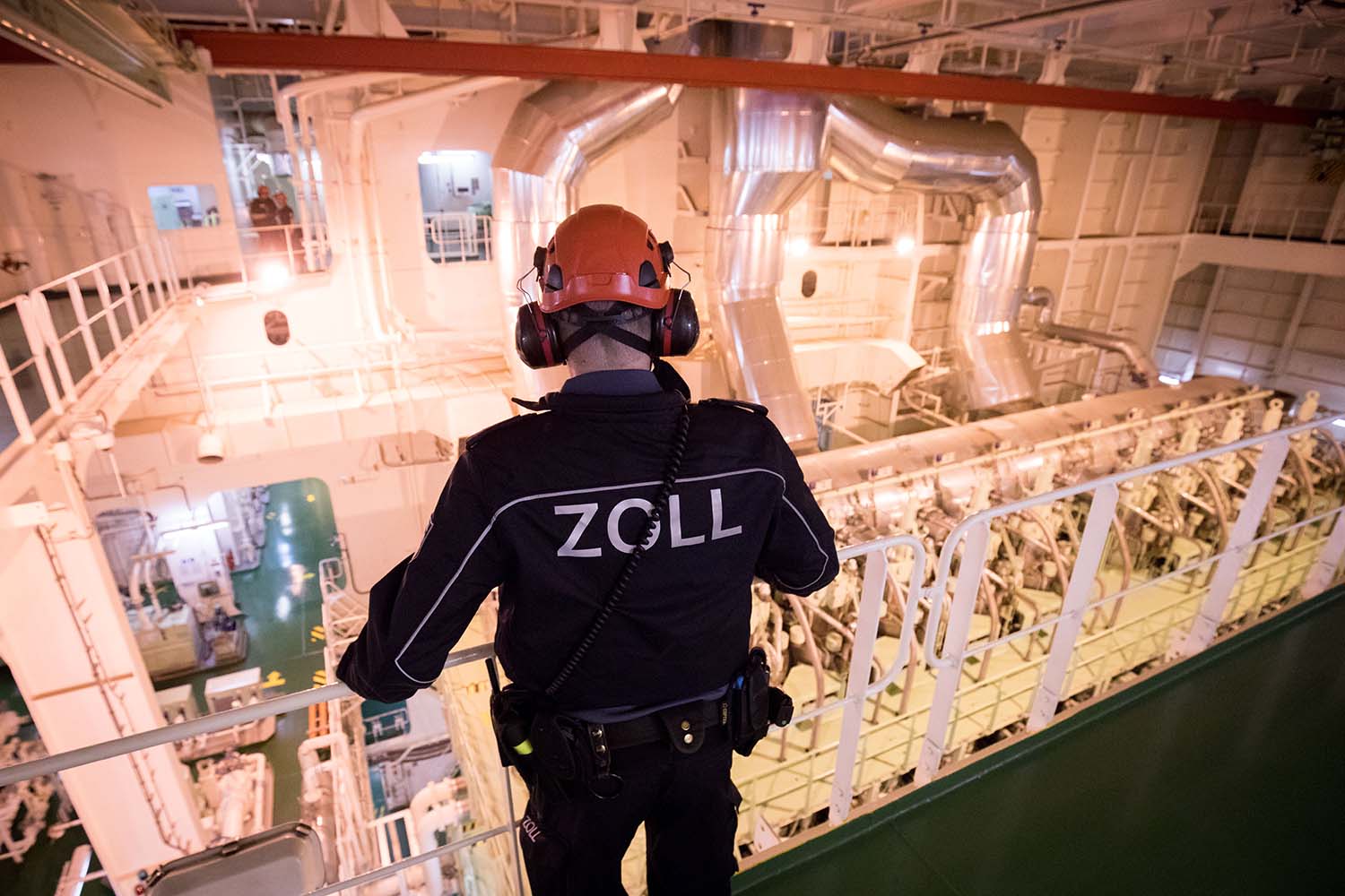 From iguanas to cocaine: Germany publishes list of customs seizures