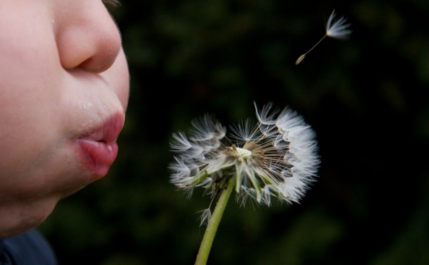 German word of the day: Das Sitzfleisch