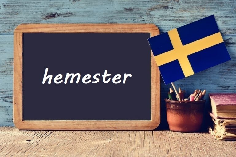 Swedish word of the day: hemester