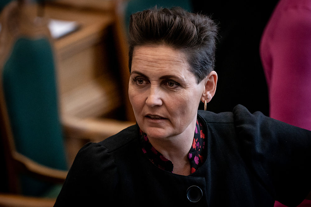 Danish politicians demand freeze on weapons exports to Turkey