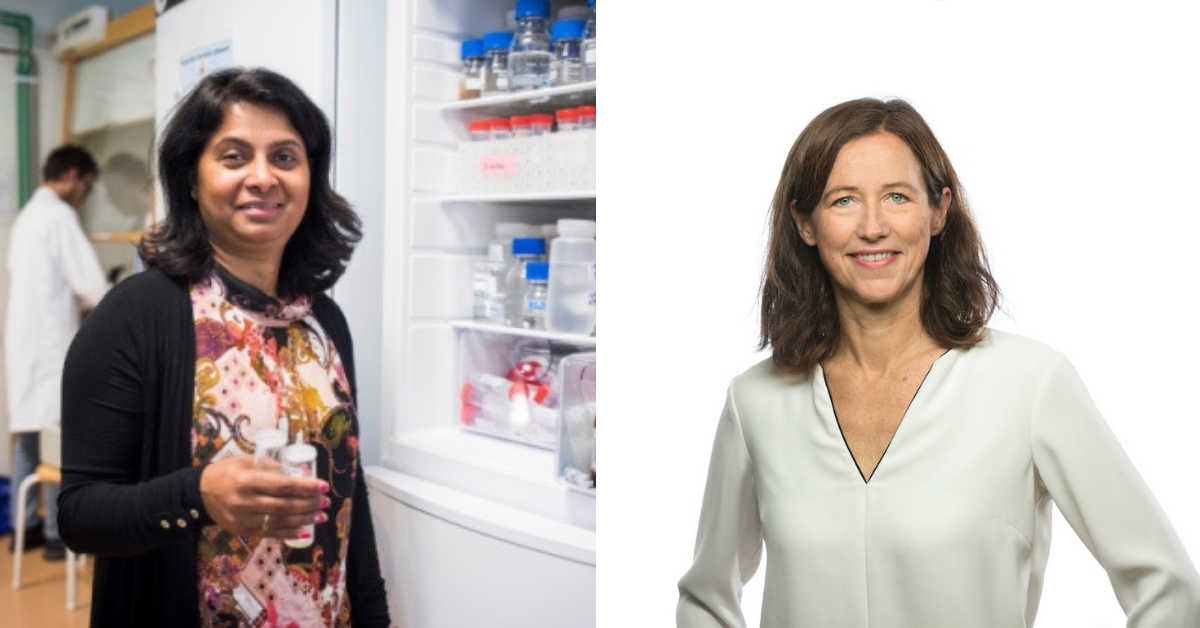 From AI to green chemistry: how Stockholm University is tackling the ...