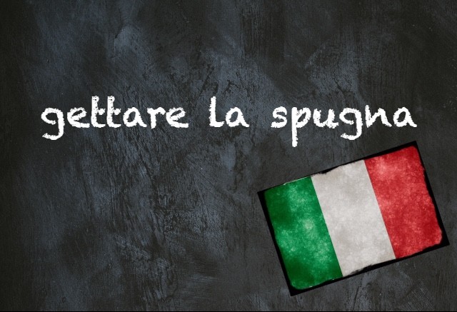 Italian expression of the day: ‘Gettare la spugna’