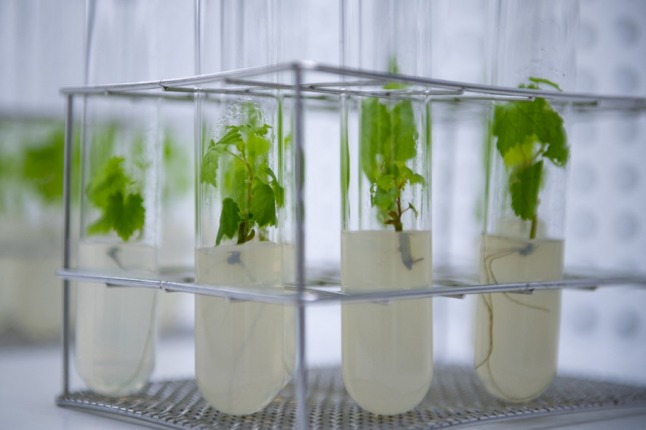 Spain outstrips France and Italy in wine exports