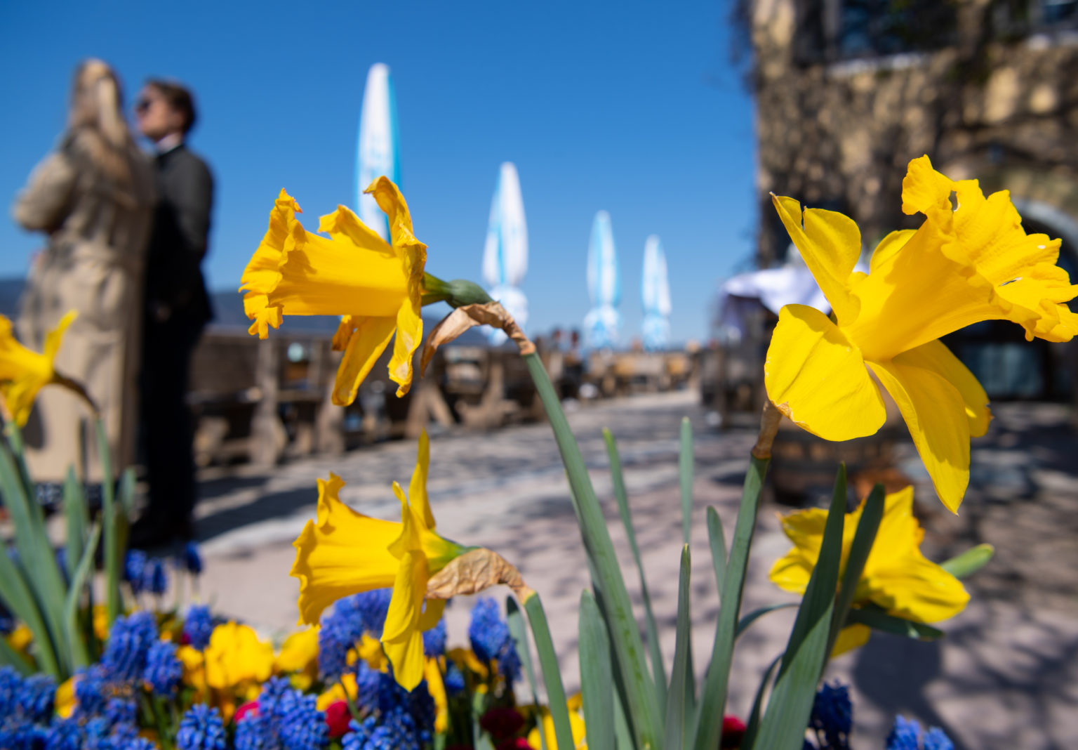 German phrase of the day: Na klar