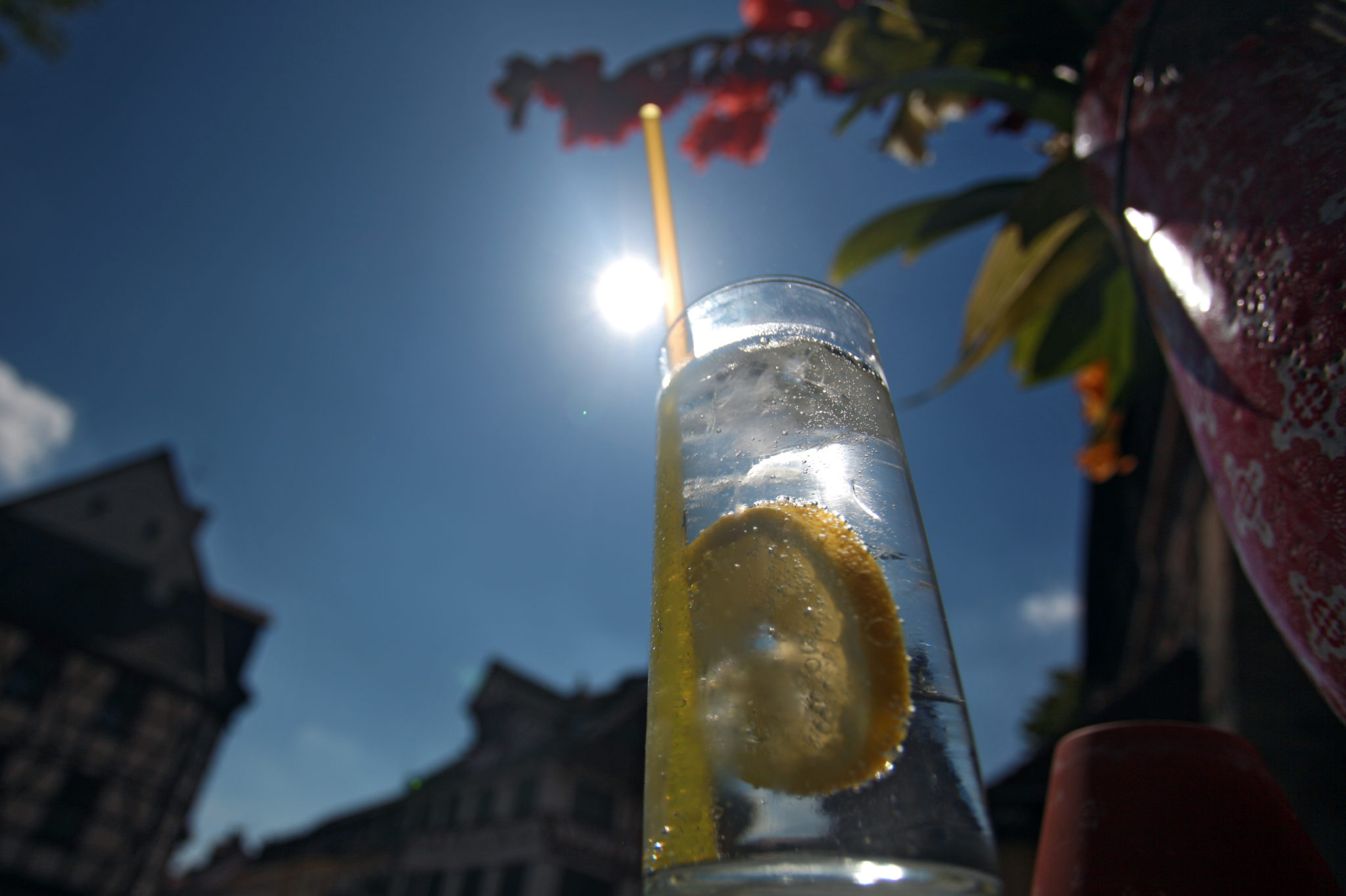 Seven German words that originally come from India