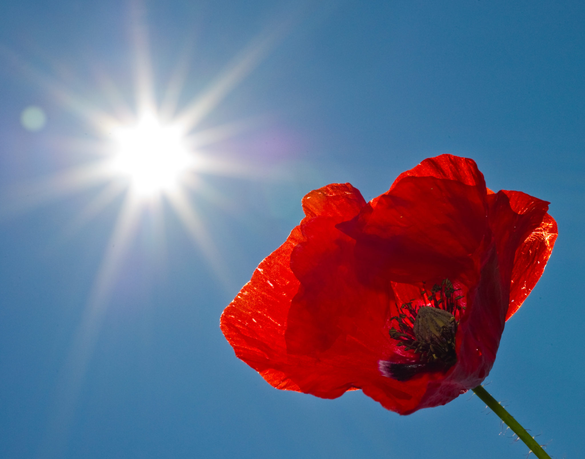 Nine of the most profound things ever said in German