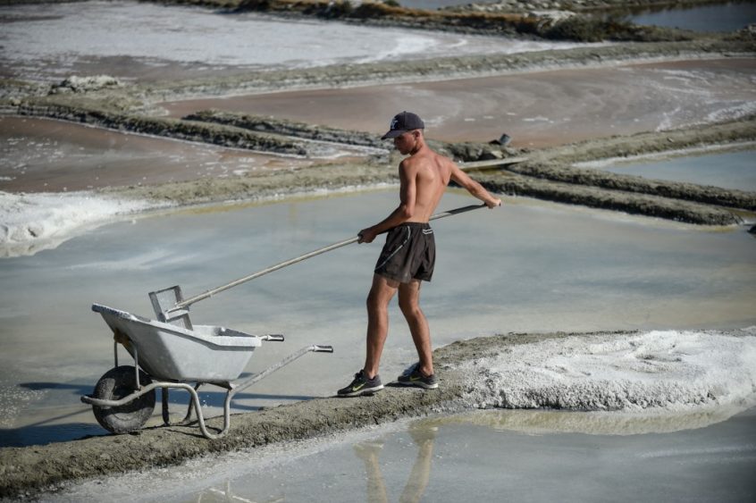 IN PICTURES: French drought intensifies as River Loire dries up