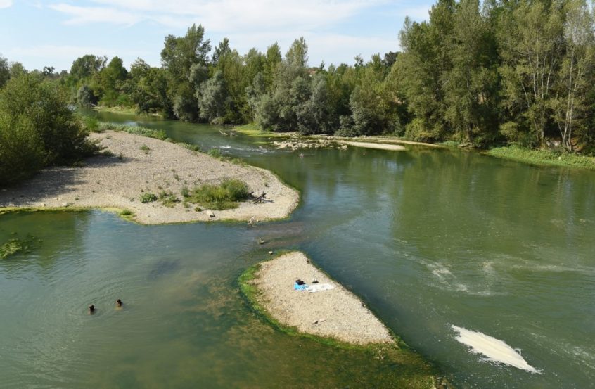IN PICTURES: French drought intensifies as River Loire dries up
