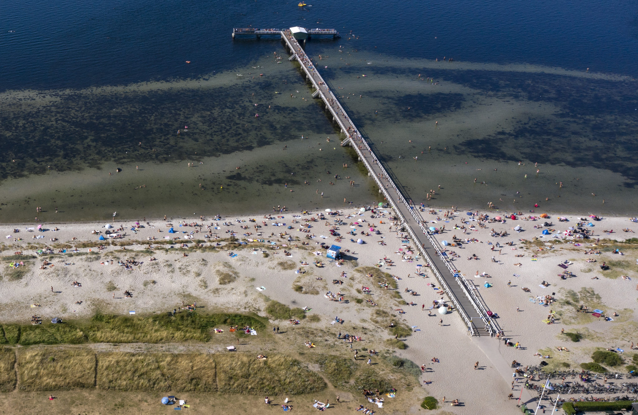 Sweden: Latest news - The Local Sweden