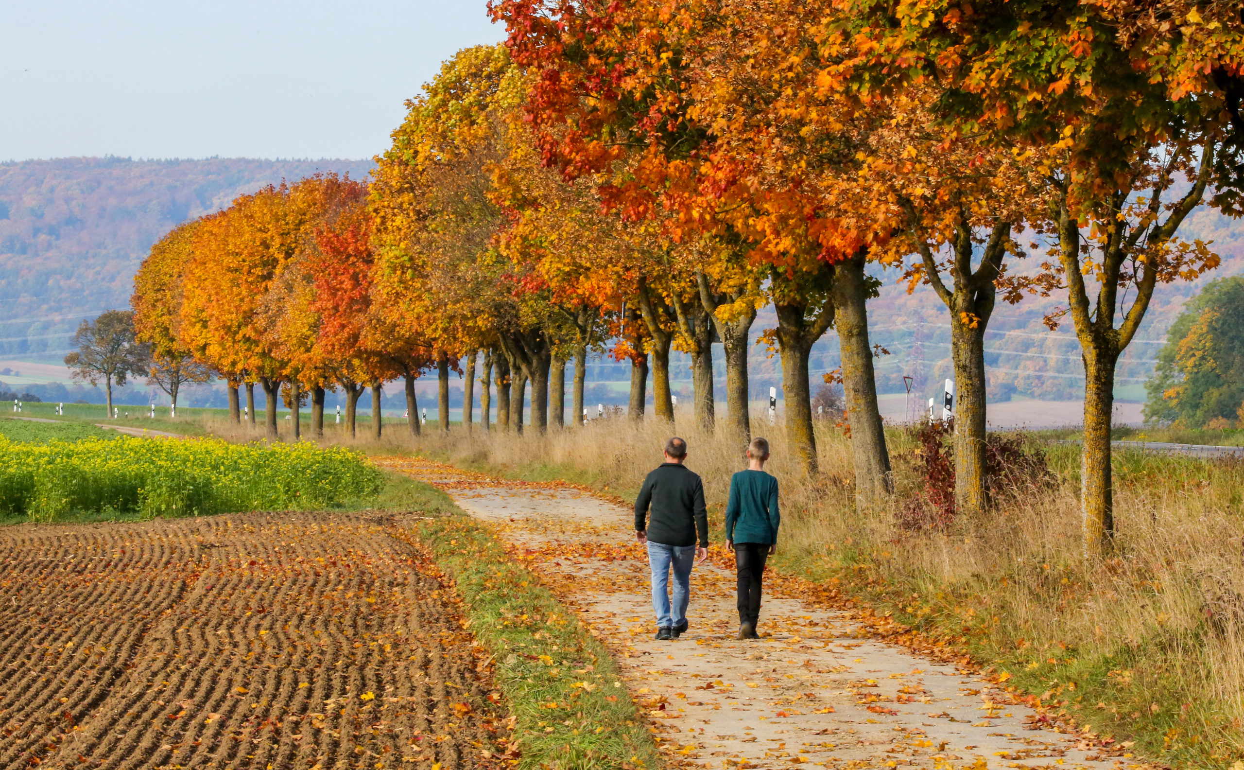 Living in Germany: Falling in love with learning German, autumn colours ...
