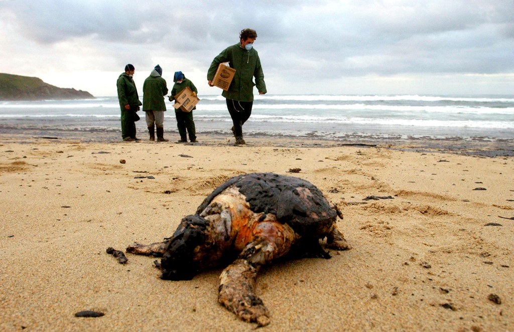 Spain’s ‘Prestige’: The worst-ever oil spill in Europe ‘could happen again’