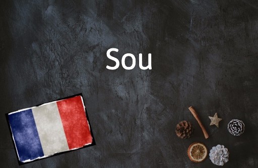 French expression of the day: Langue de bois - The Local