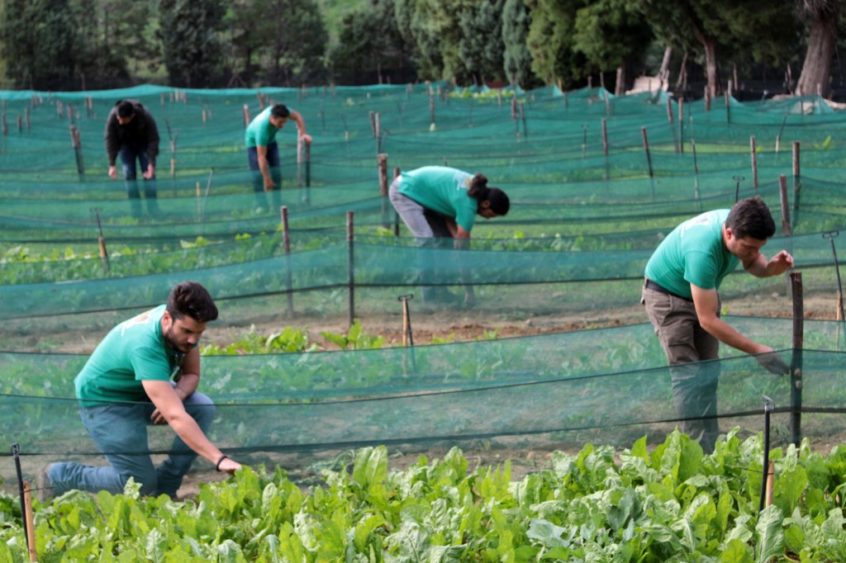 Italy confirms how many work permits it will grant in 2023