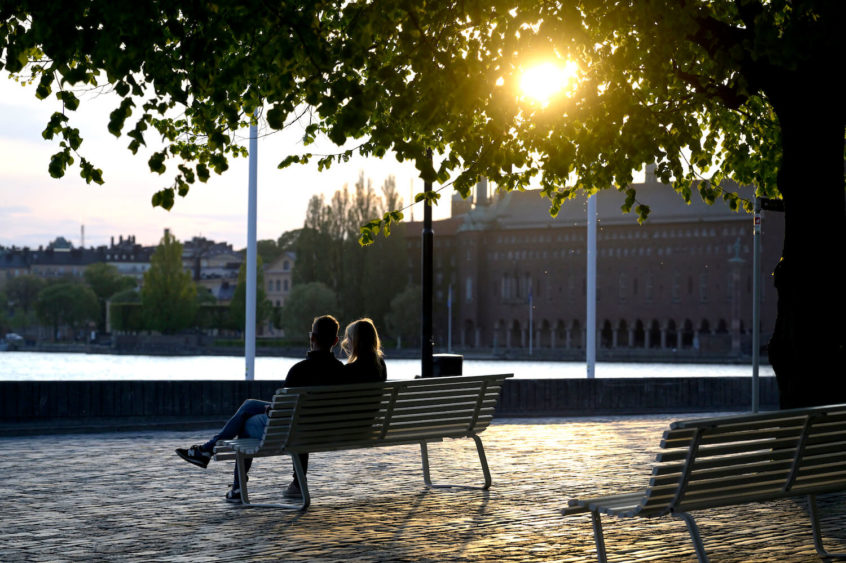 The Local - Sweden's News in English