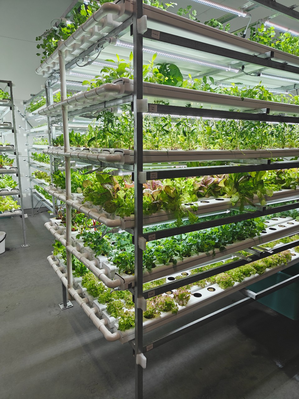 'If I don't have a permit to live in Sweden no one will be willing to ...